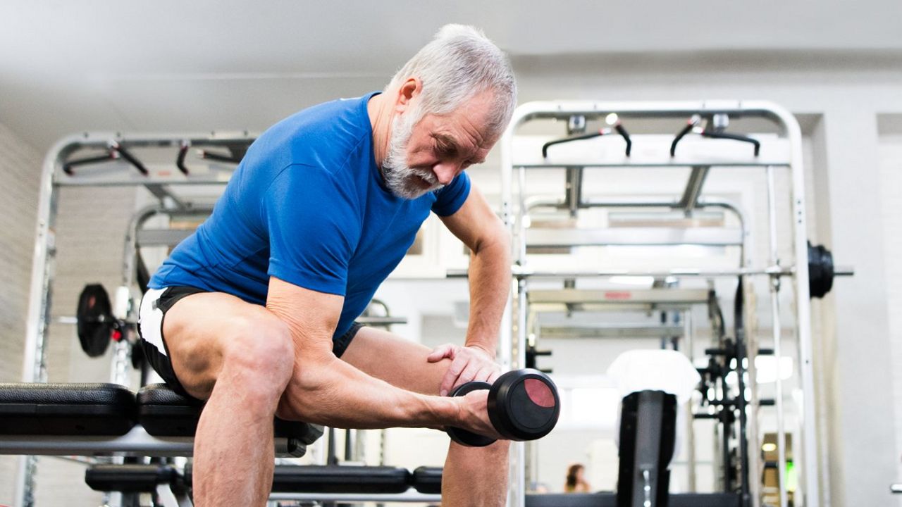 Dem Muskelschwund auf der Spur